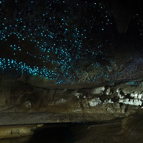 "For What It's Worth" by Rosemary Riddell and Bruce Drysdale