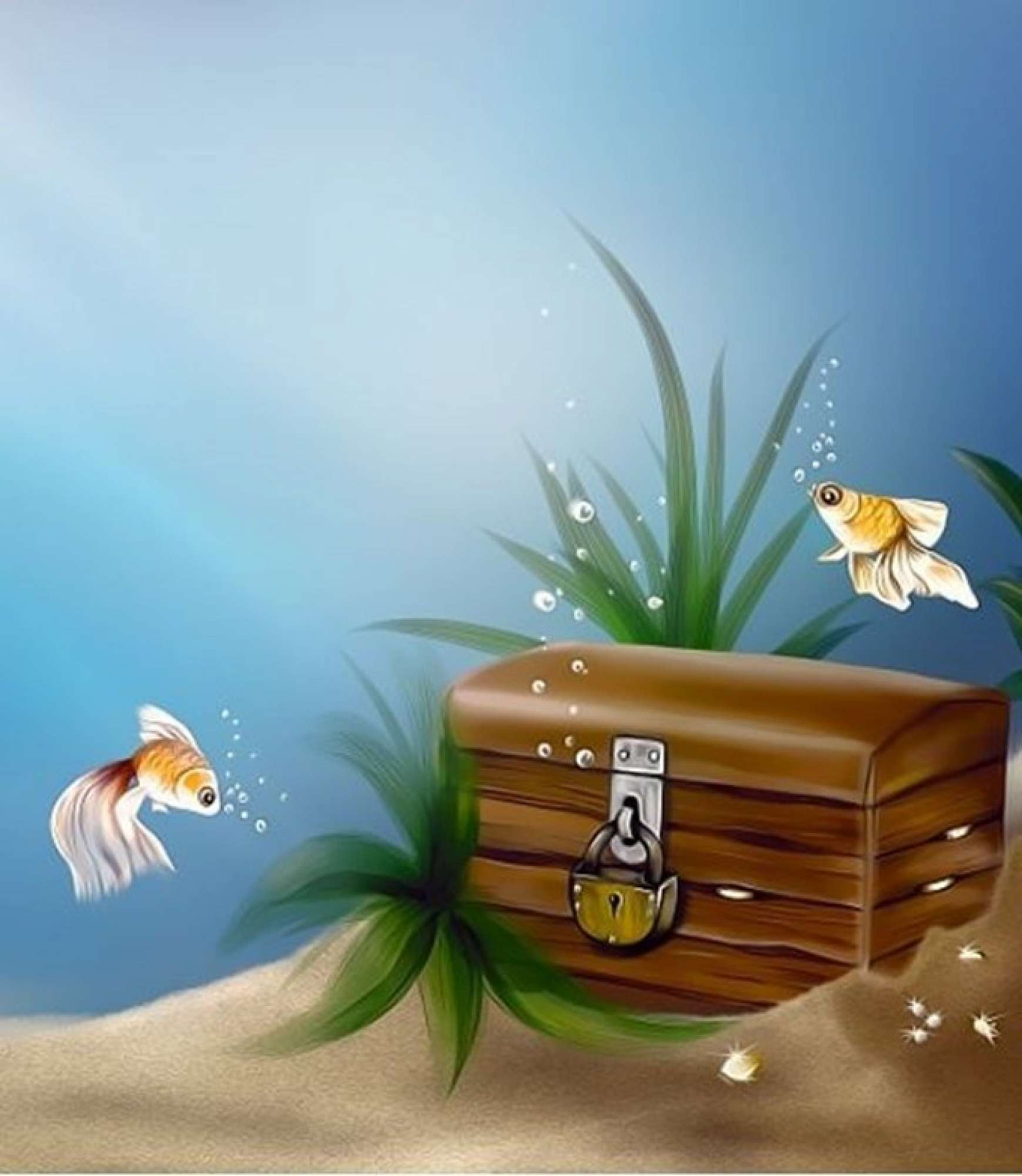 Secrets Under the Sea at Orewa Library