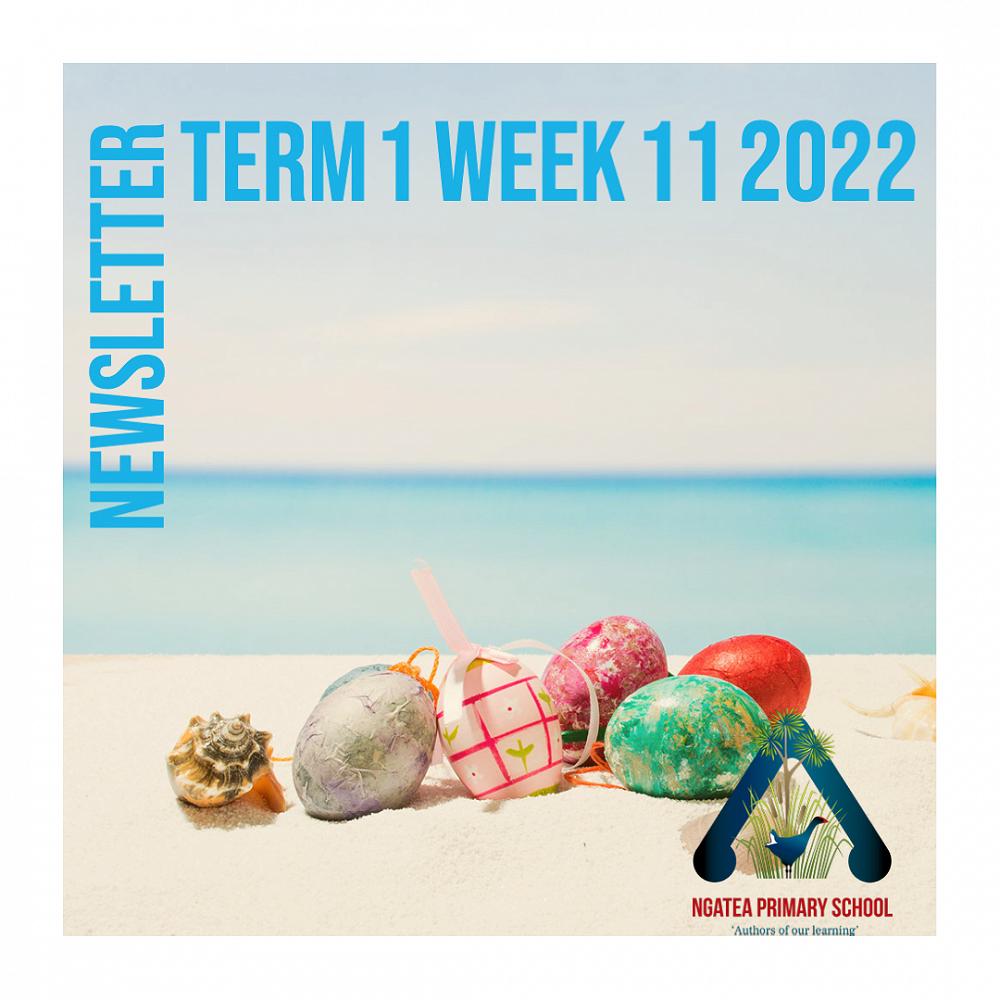 NEWSLETTER TERM 1, WEEK 11