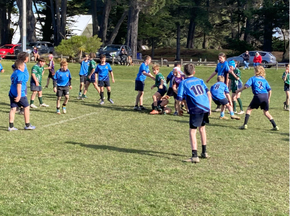 Queenspark Te Hua Mānuka