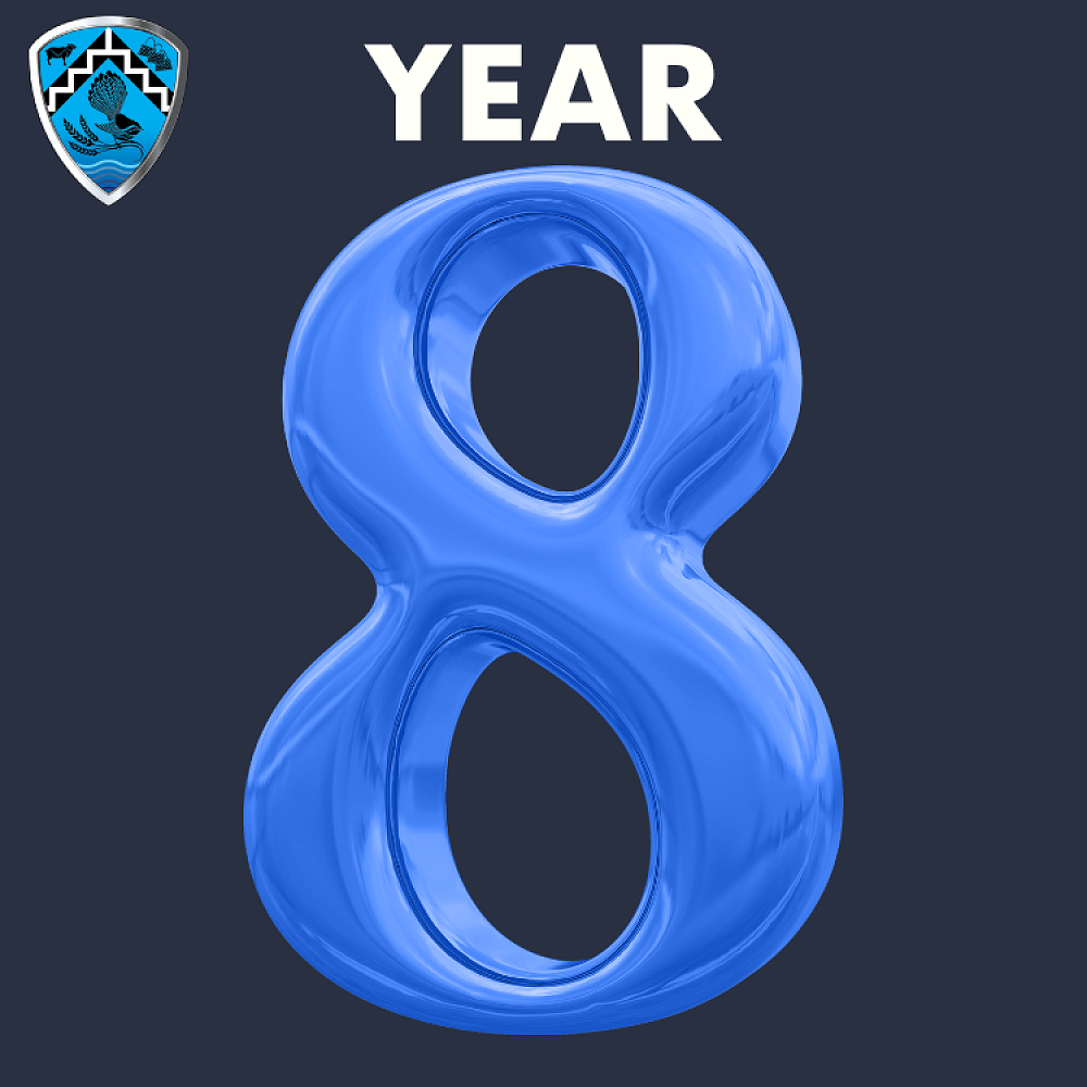 Year 8 — Pīwaiwaka Post - Term Four, Week Six