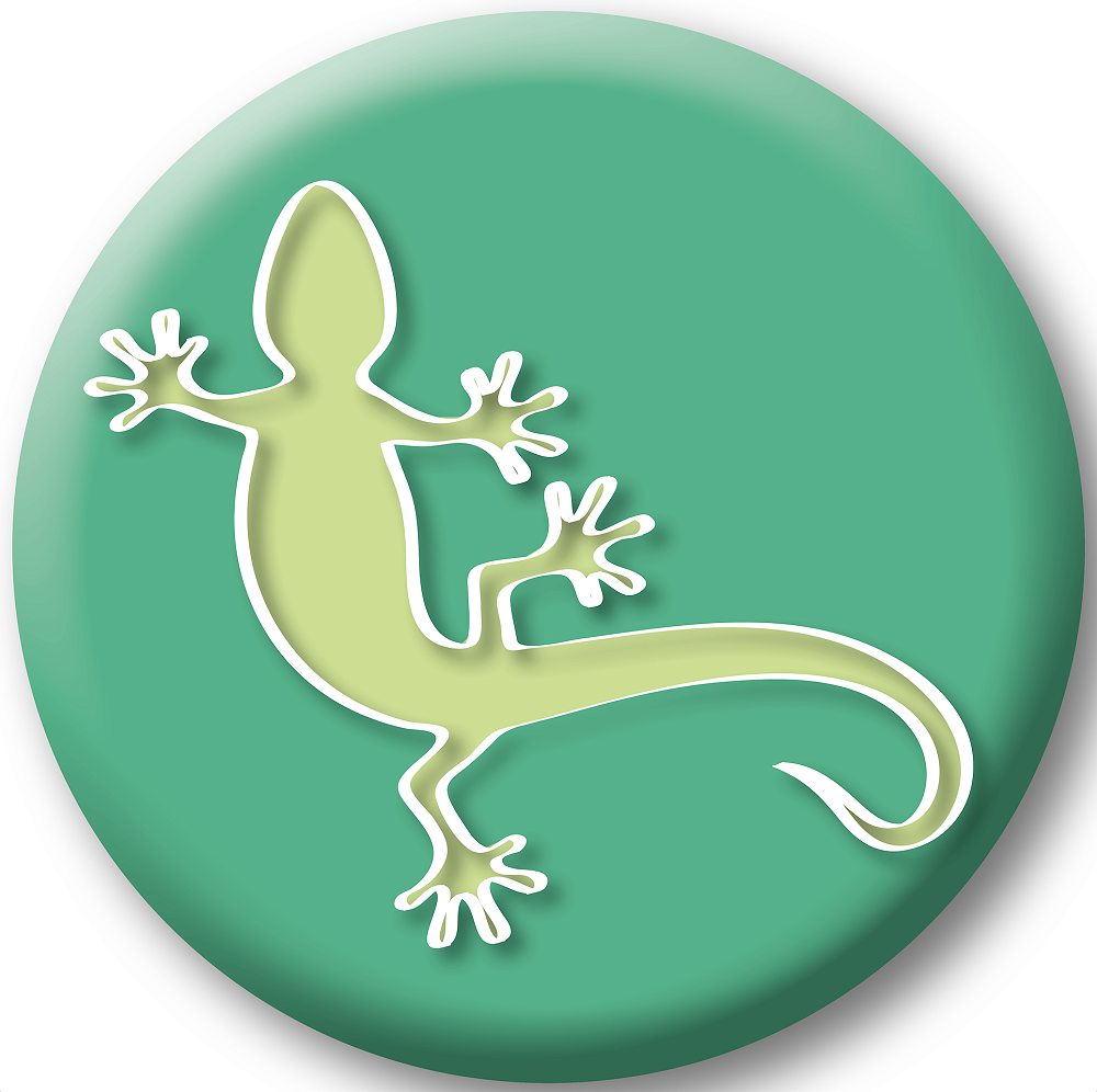 Newsletter for Friday 3 May 2024