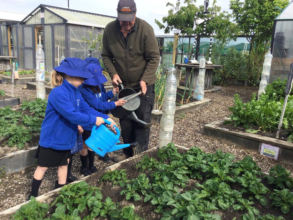 Wigram Primary School Newsletter 27 October 2022