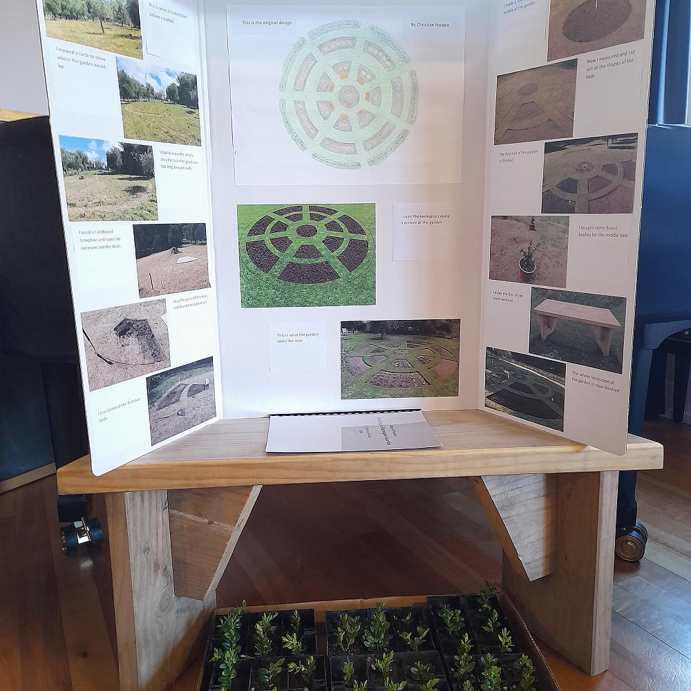 Class 8 Project Presentations