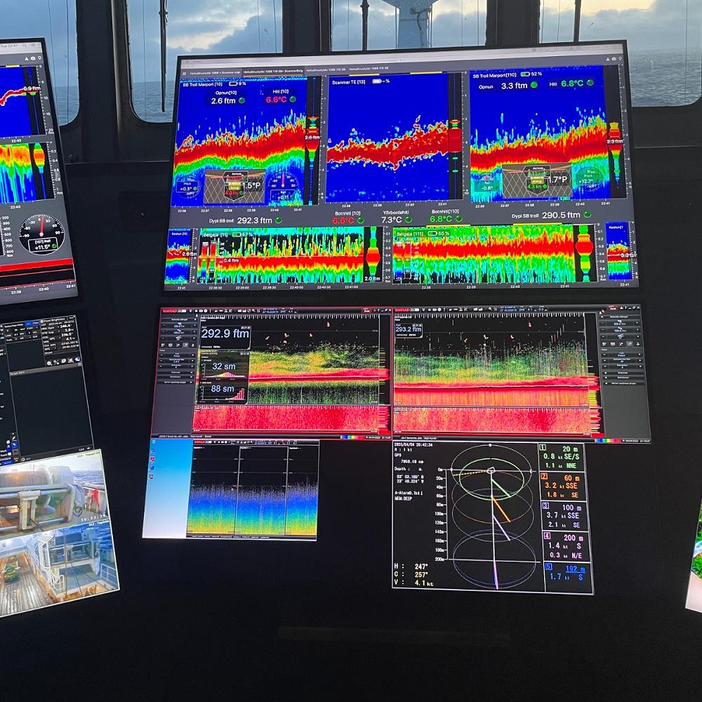 MARPORT Net Monitoring