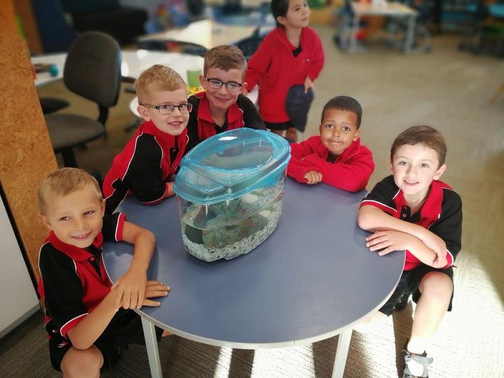 Bringing the Outside in - Authentic Learning at Marshland