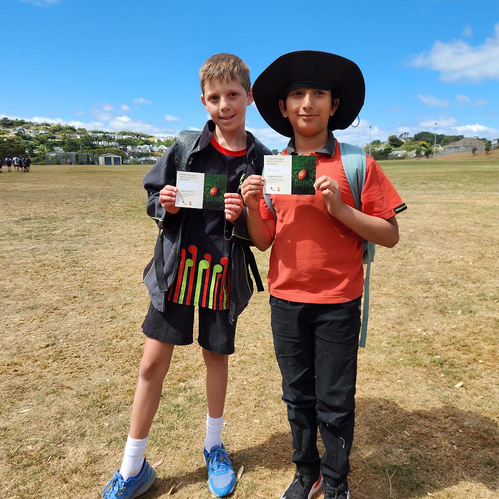 Non-stop Cricket Festival - a success