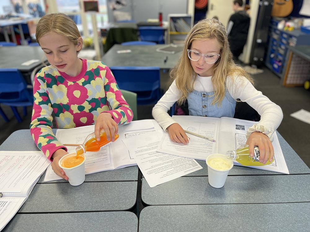 Term 2 Week 6 Newsletter