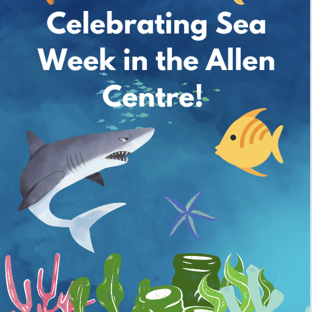 Celebrating Sea Week in the Allen Centre! — Term 1 Week 9 Newsletter