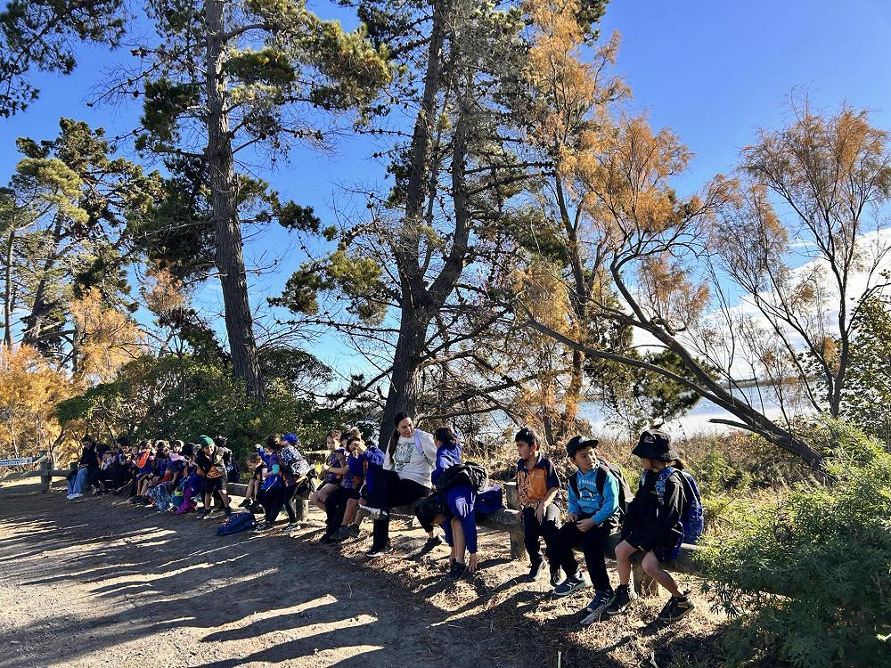 Ōhau and Manawapouri ki Te Karoro Karoro