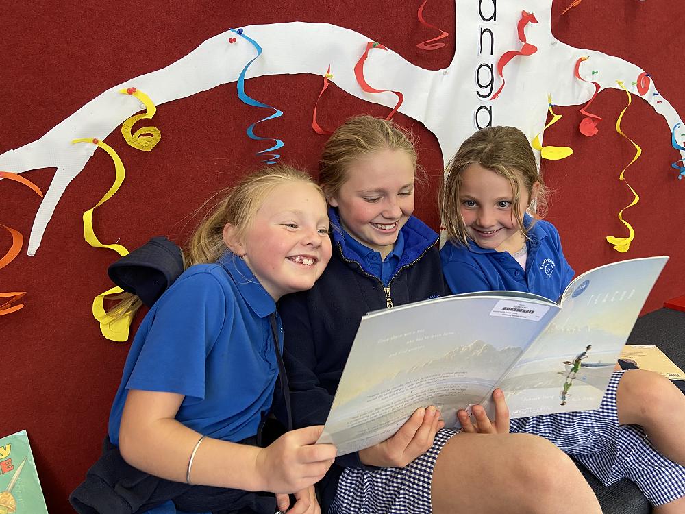 Summer Reading - Library Books for Summer