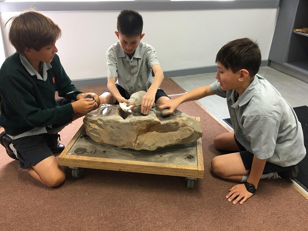 Year 8 Museum Visit