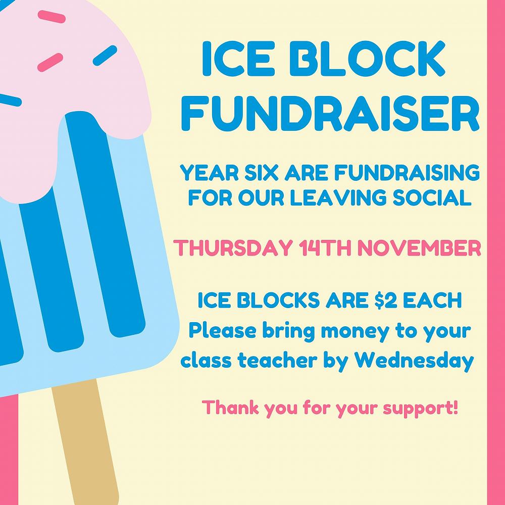 Ice Block Day - Thursday 14 November.