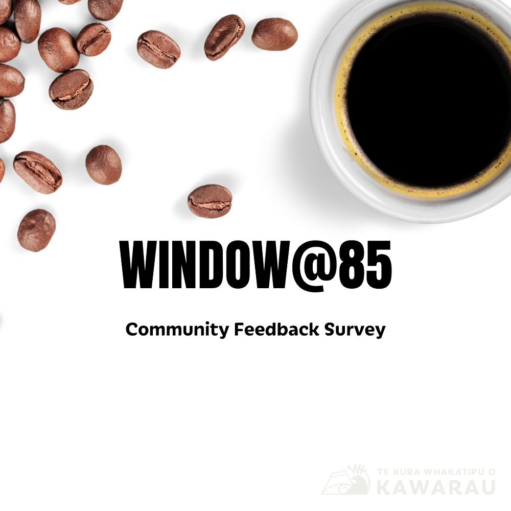 Window@85 Community Feedback