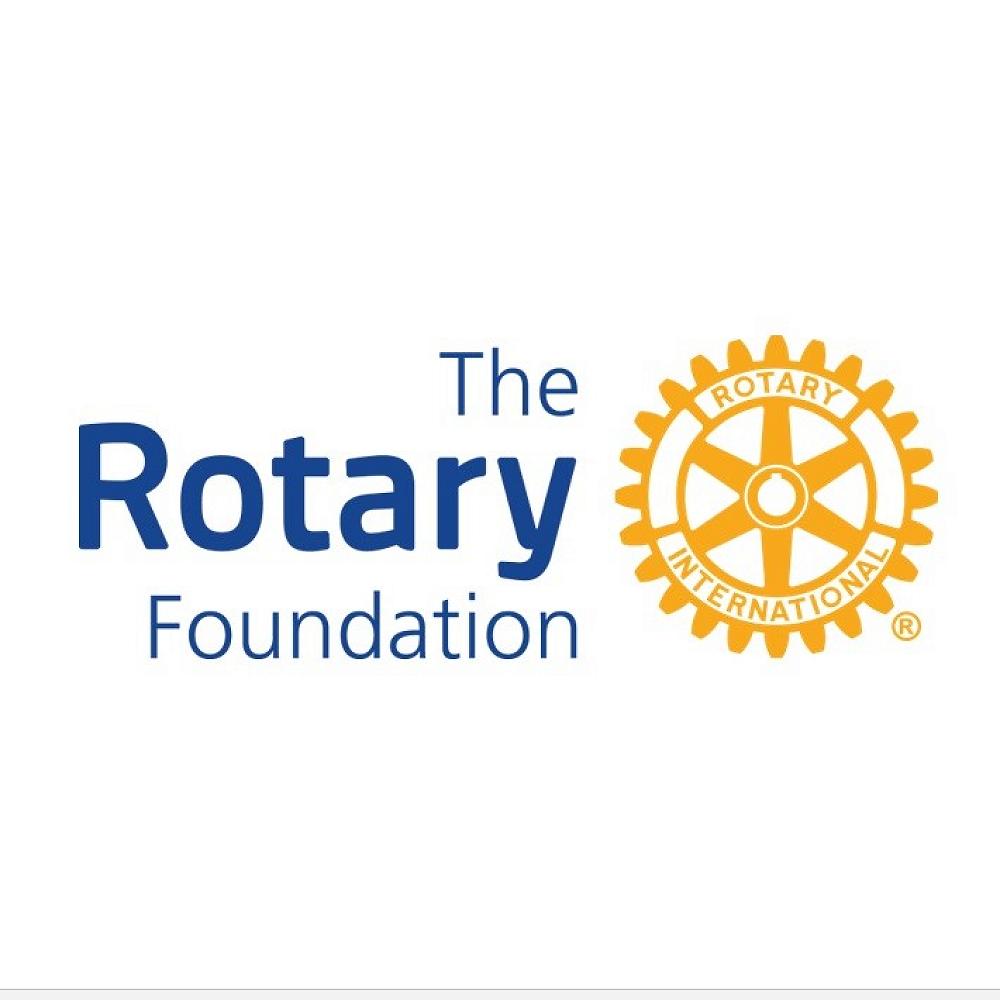 THE CADRE OF TECHNICAL ADVISORS AN UNDERUTILISED RESOURCE — Rotary On ...