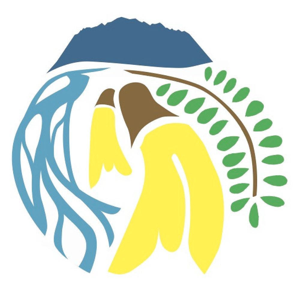 Term 1 Values Assembly 2025 — Term One, Newsletter 2025