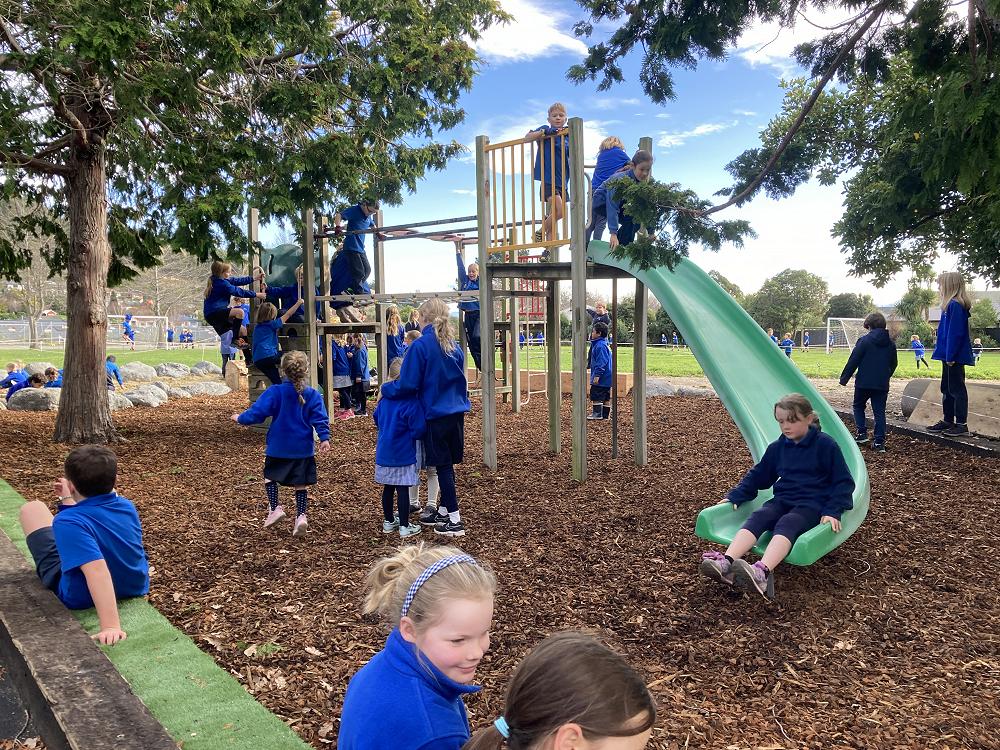 Newsletter - Term 3, Week 2