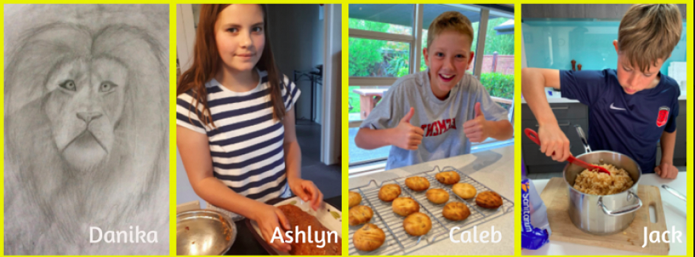 Simba Zone Distance Learning