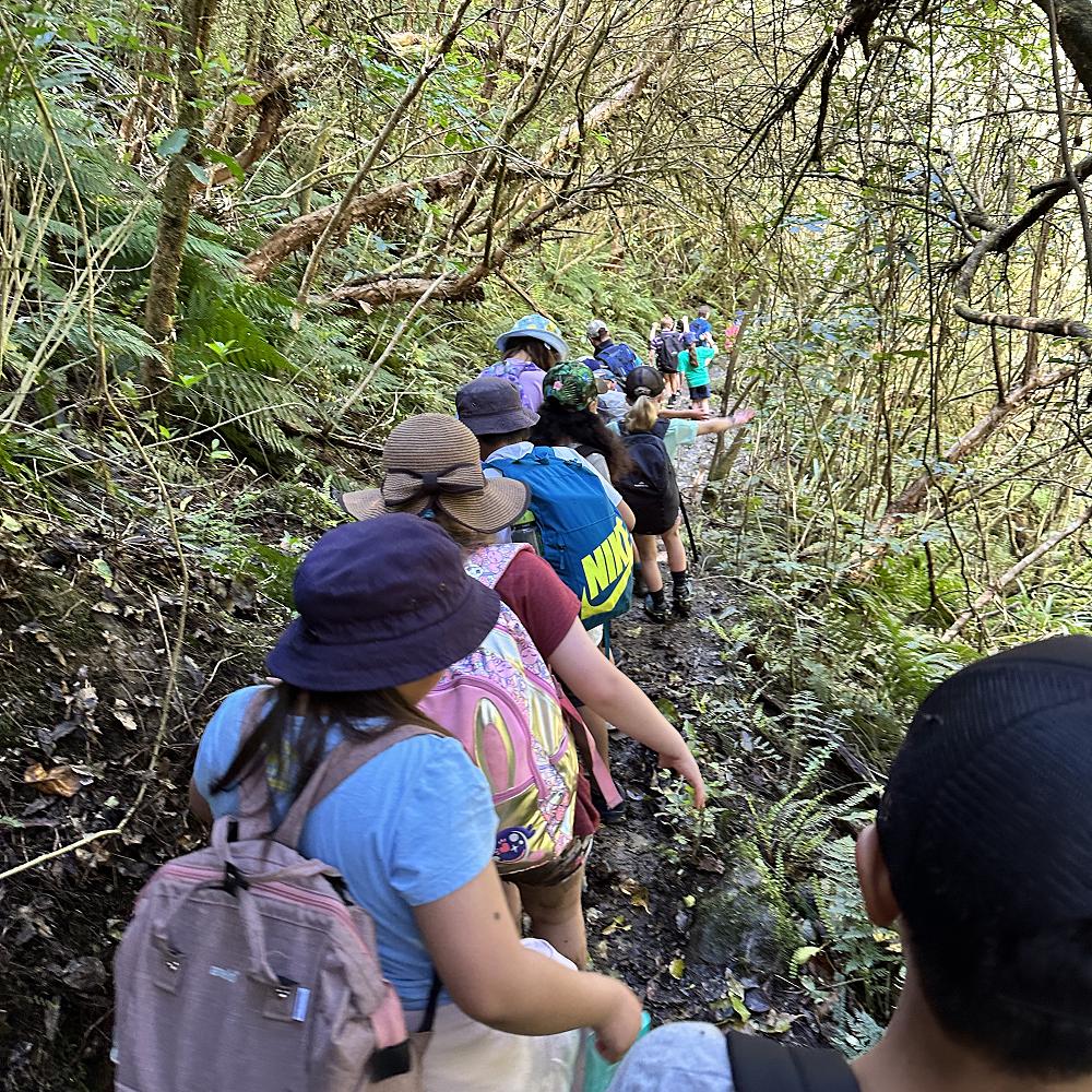 Week 3, Term 4, 2023