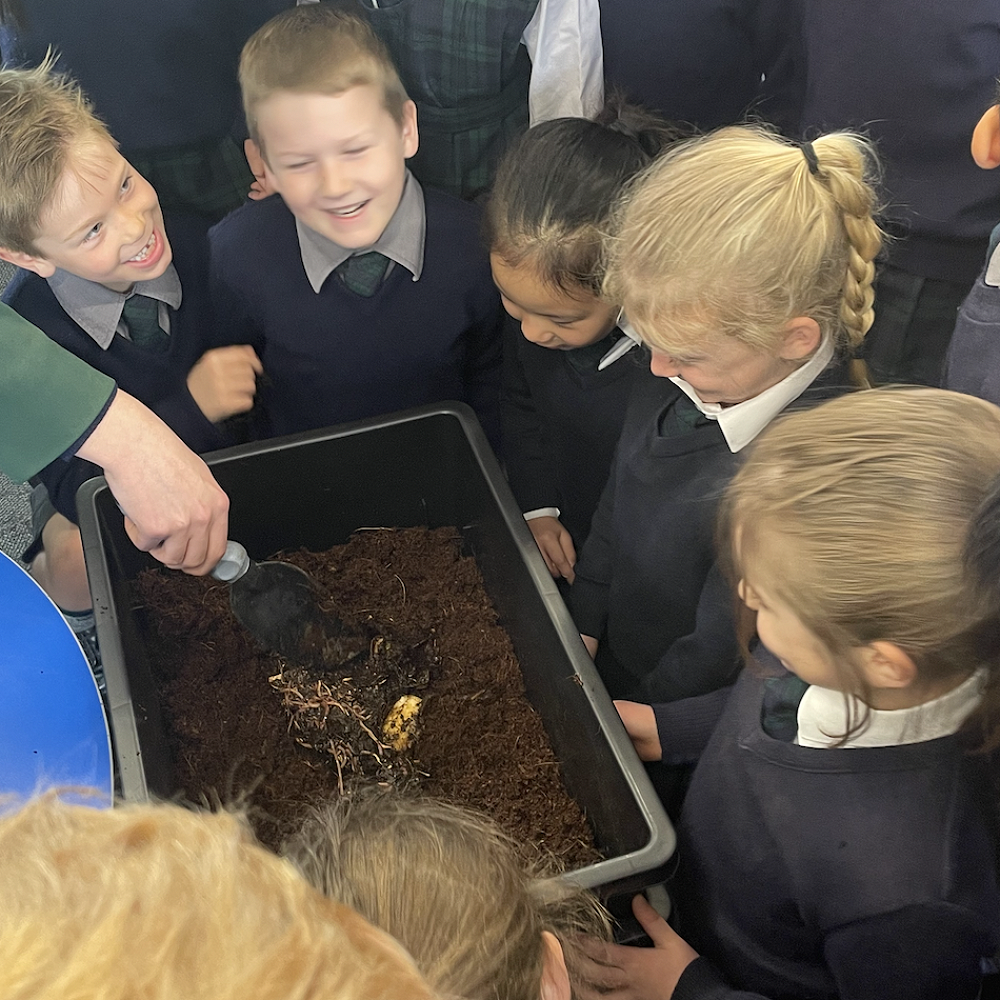 Wonderful Worms Pt. 2