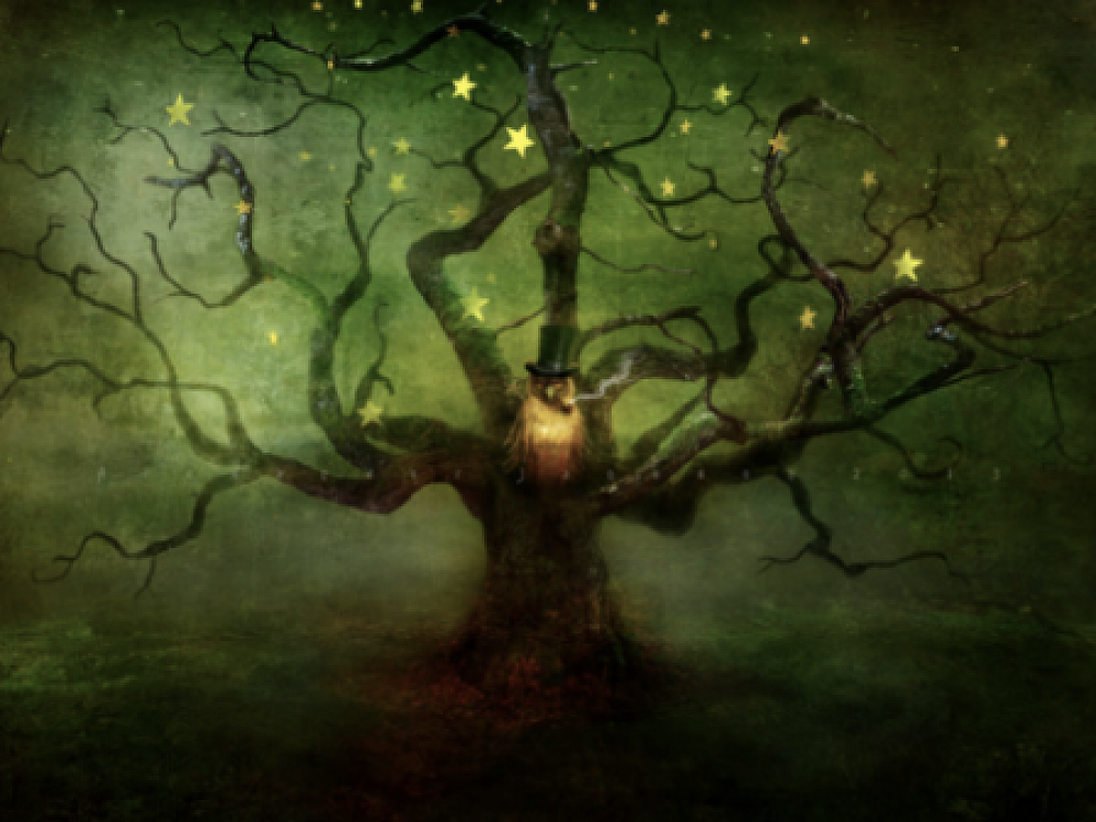 WOW Writing - Week 11