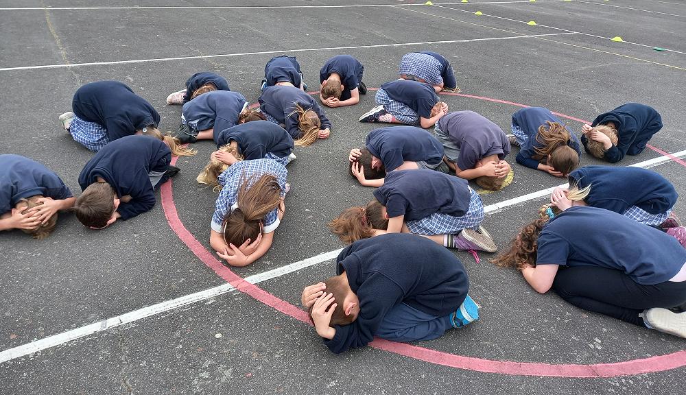 Successful NZ Shakeout drill