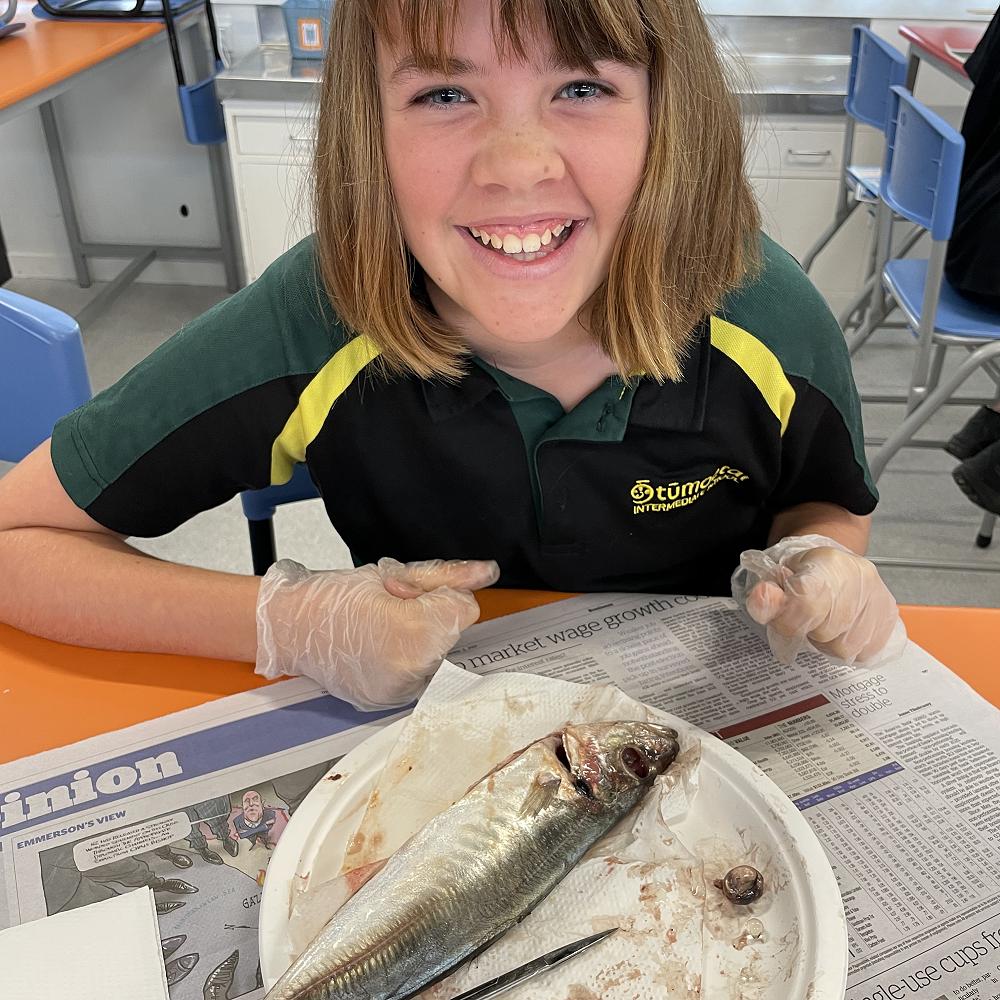 Rutherford Science — Term 4 Week 9