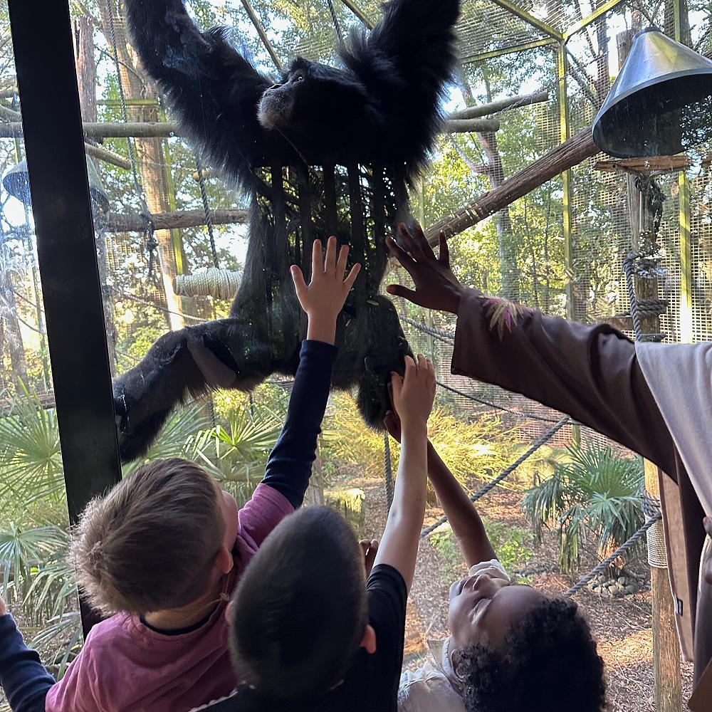 Junior School Zoo Trip