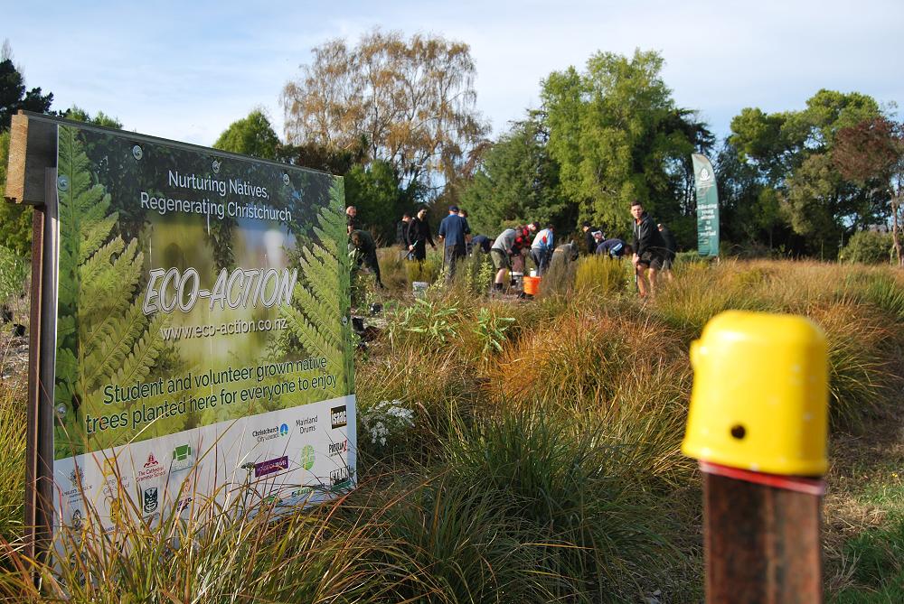 Native Tree Planting Next Weekend