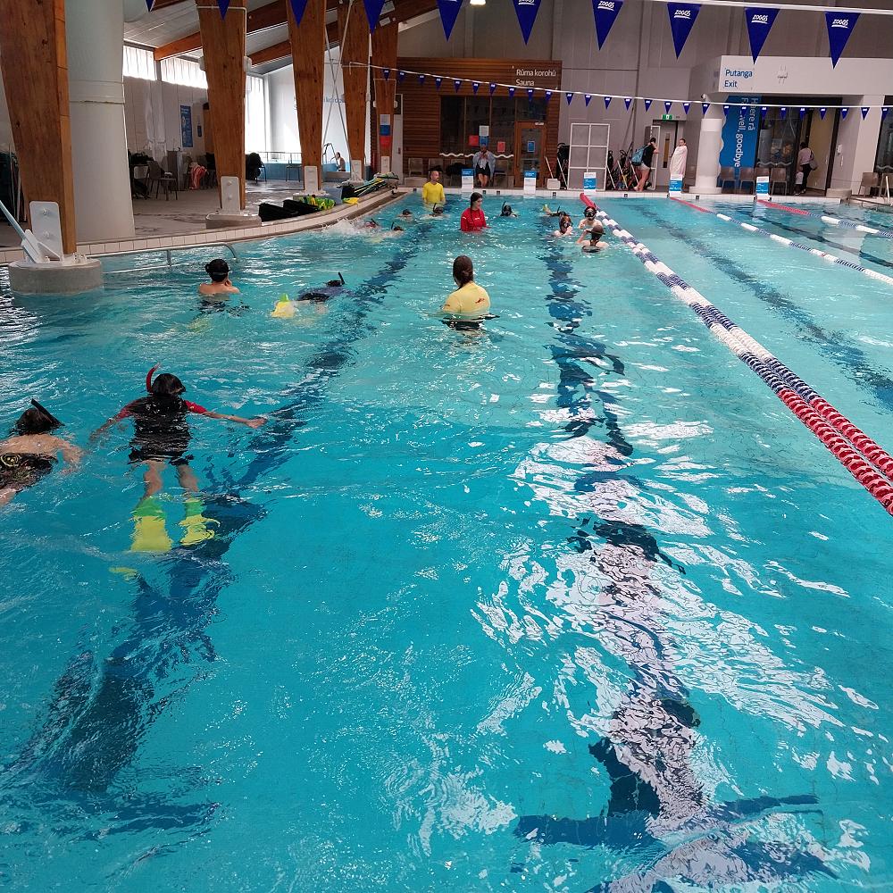 Snorkelling adventure starts at Keith Spry Pool. — Newlands ...