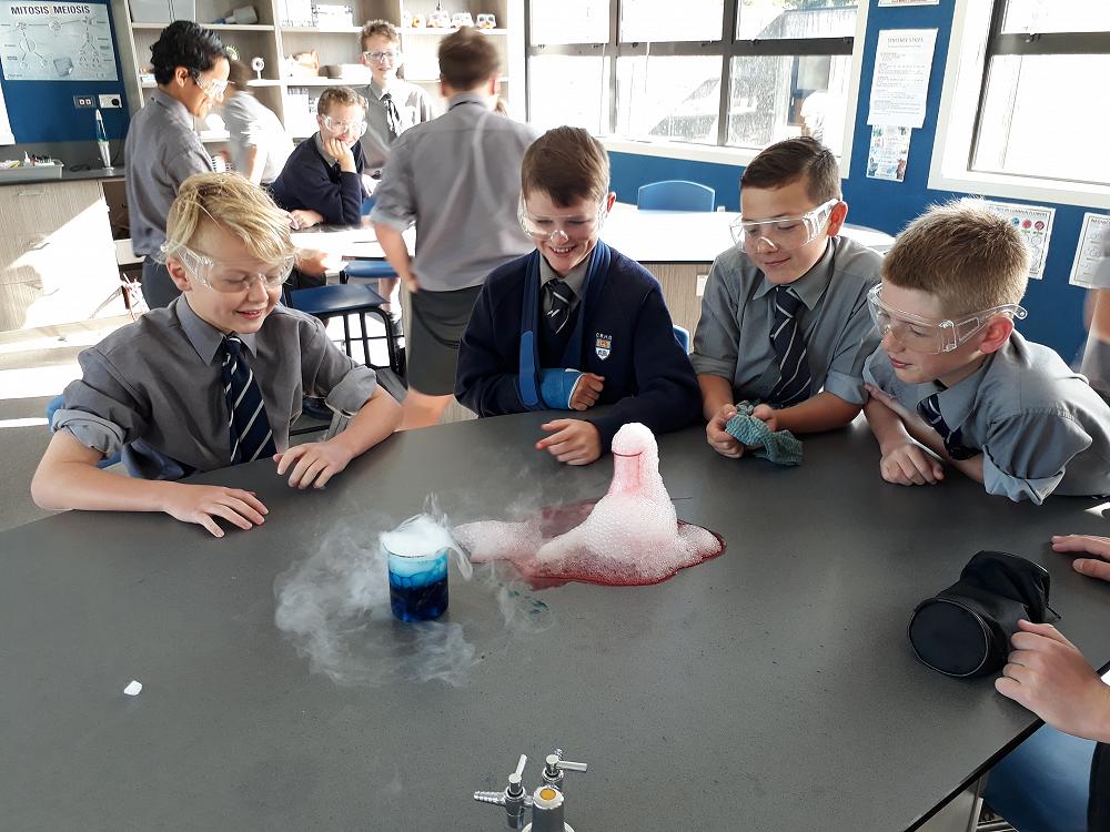 Year 9 Scientists In Action — Newsletter - No.10 - 2017
