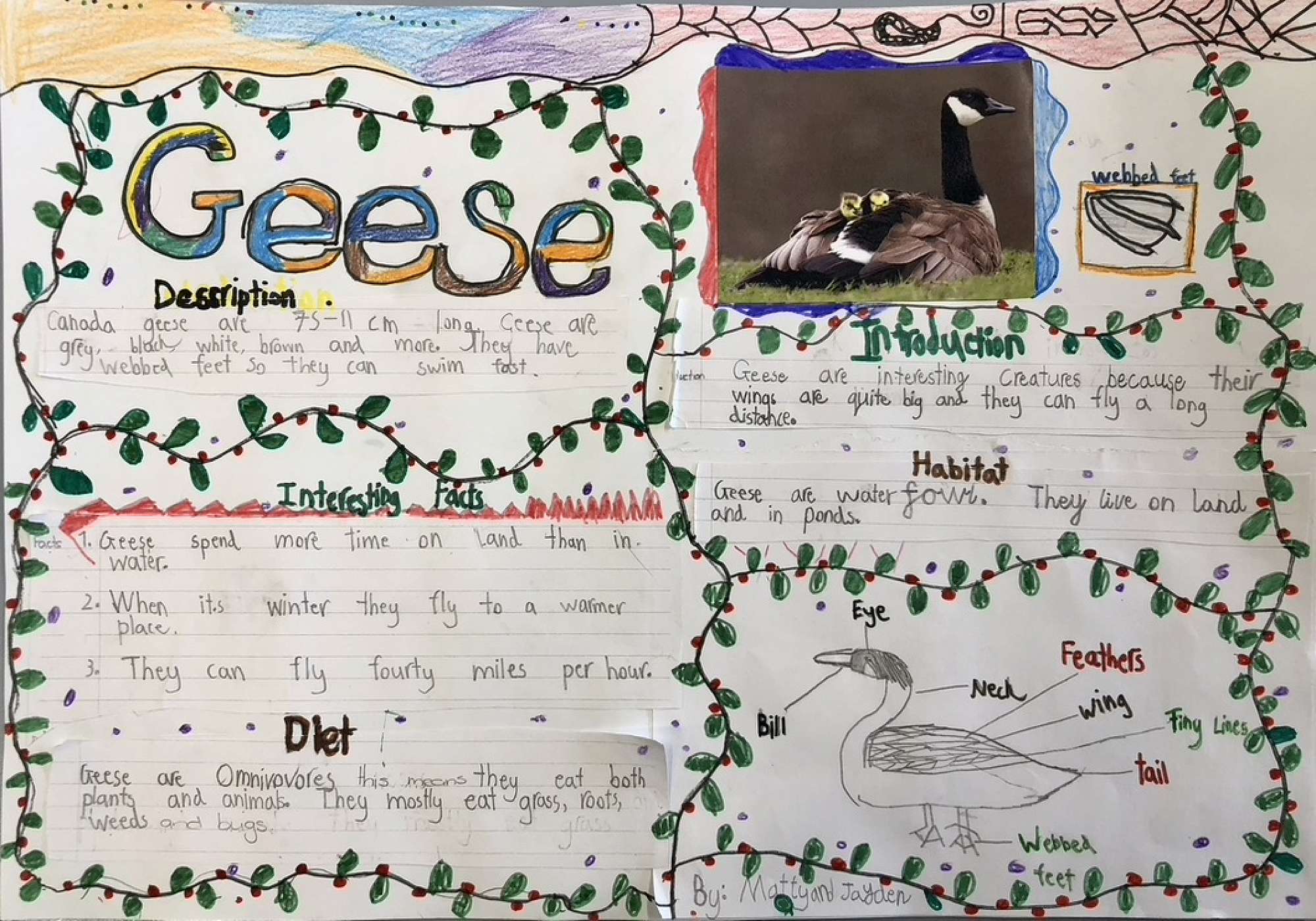Year 3/4 Information Reports