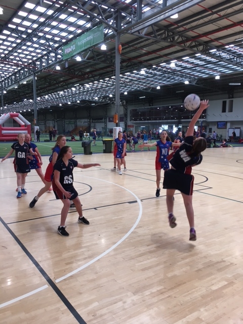 Netball Draw 9/11th of August | Trinity Catholic College