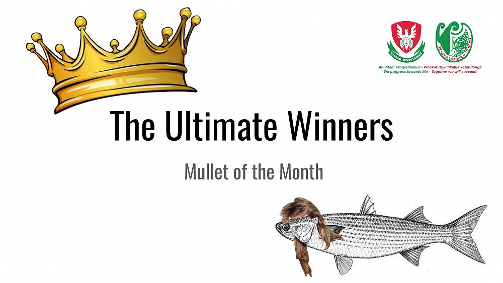 Mullet of the Month
