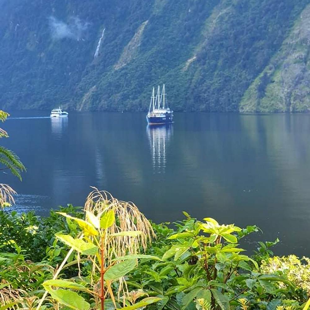 Room 5 reflects on their Deep Cove camp...