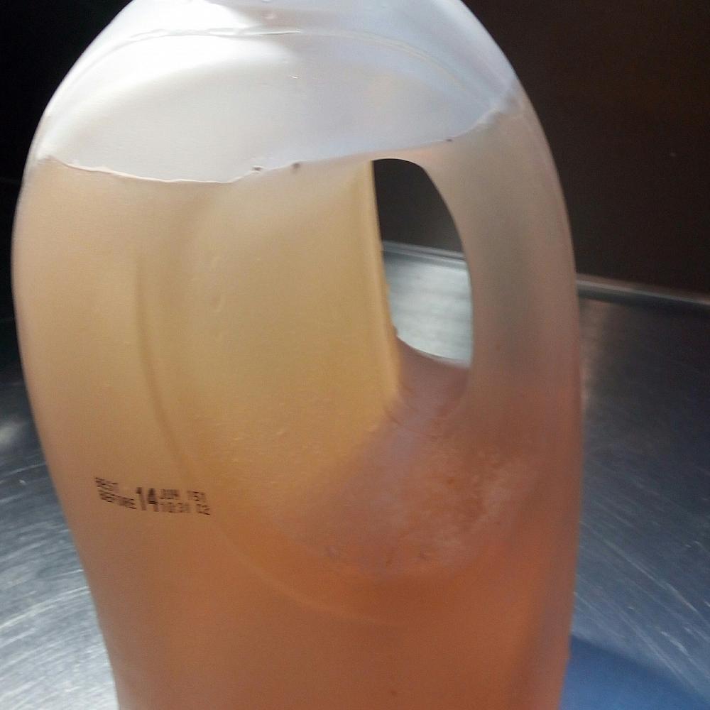 Worm Wee for sale🐛 — 2018 Newsletter 8