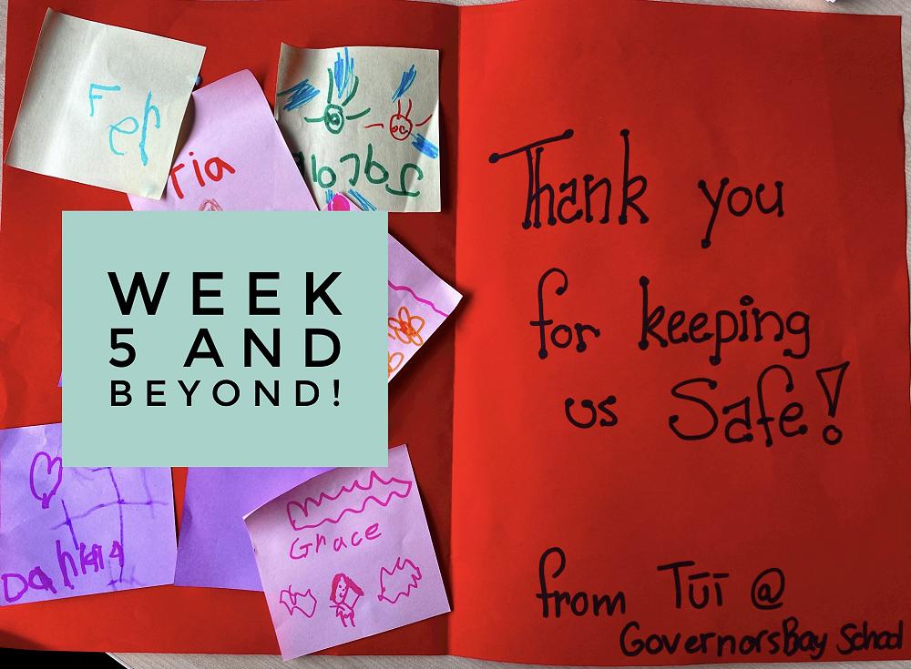 Update | Te 26 Hui-tanguru | February 2024