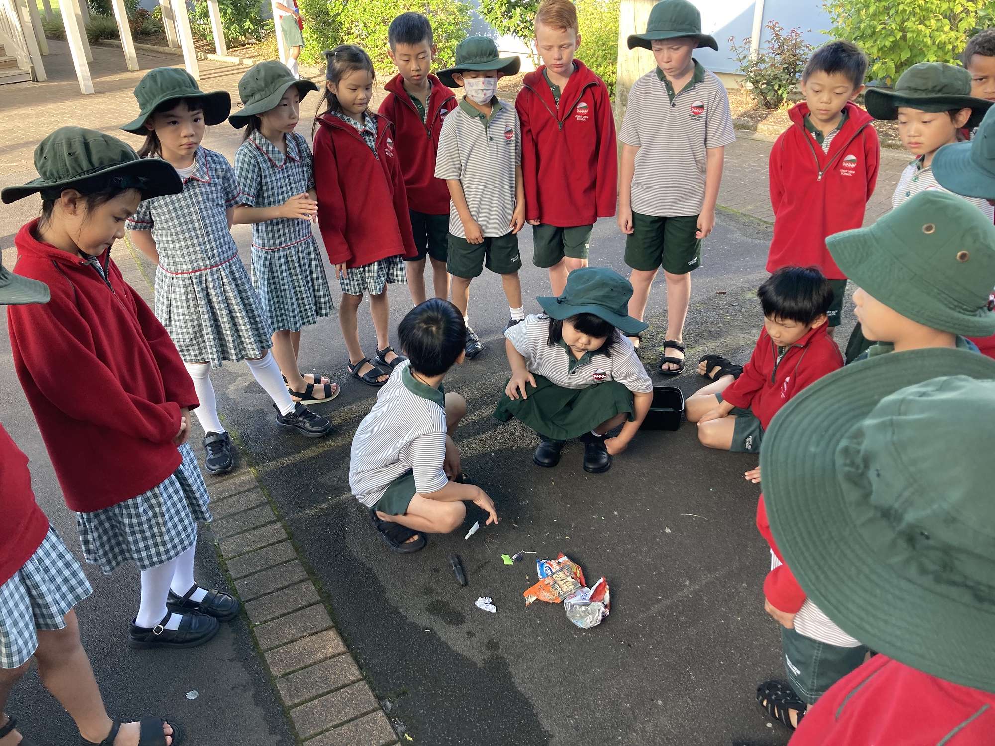 Middle School Science Investigation