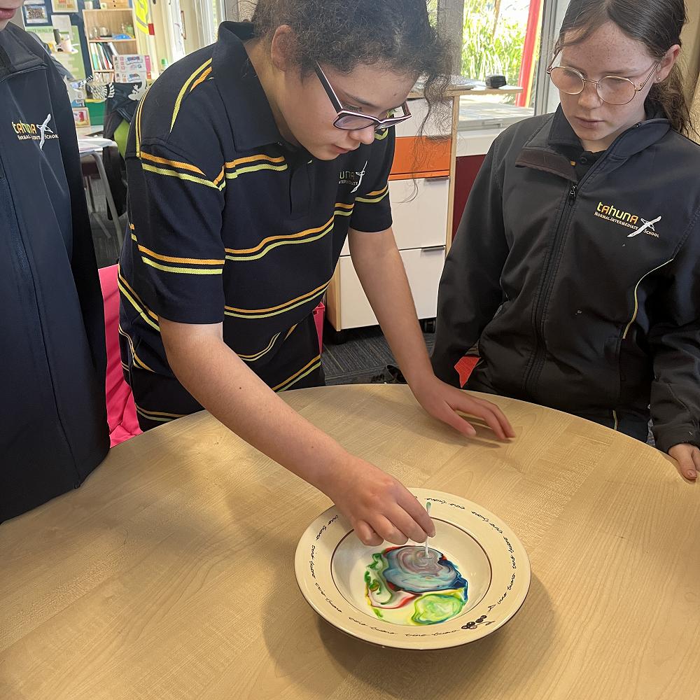 Getting ready for Science Fair!