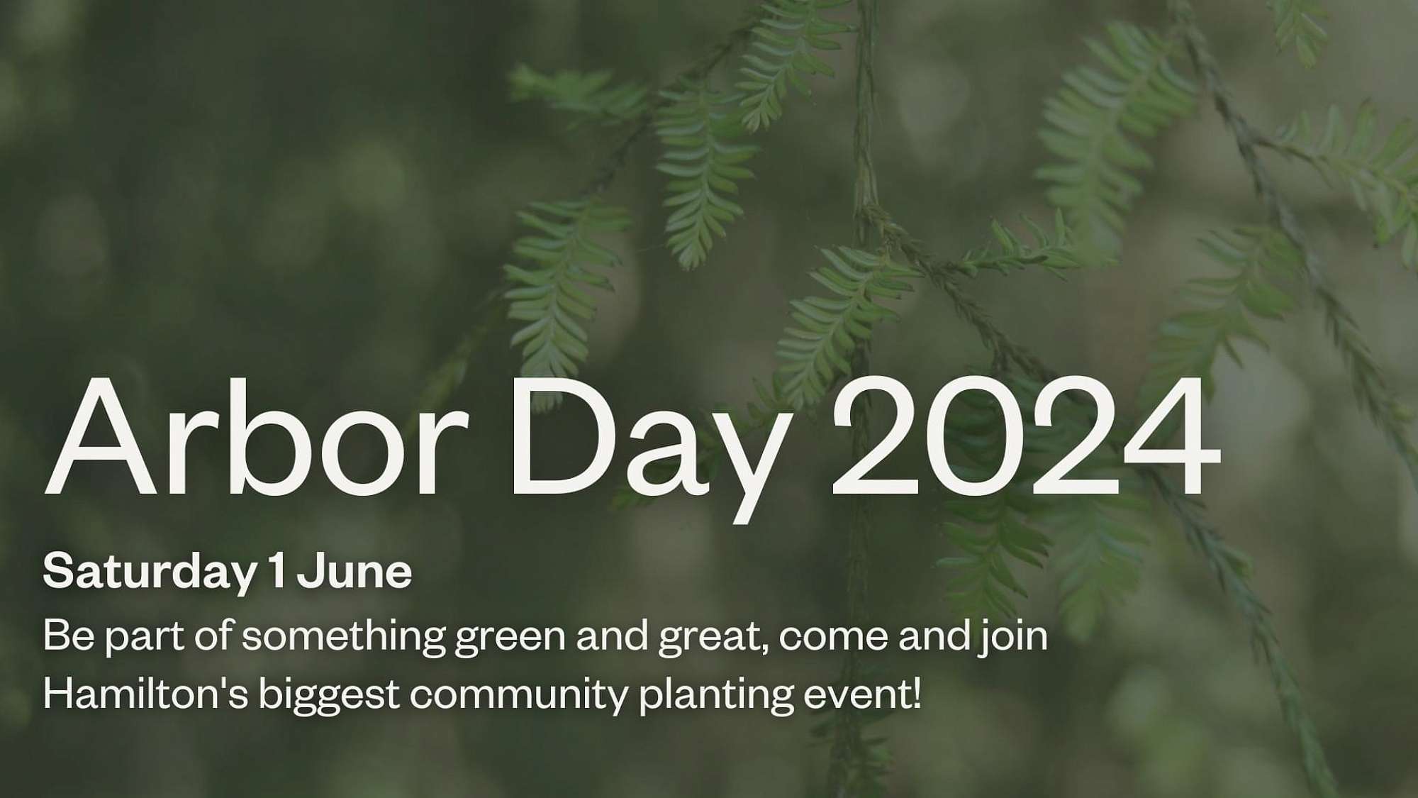 Arbor Day 2024 - Saturday, 1st June