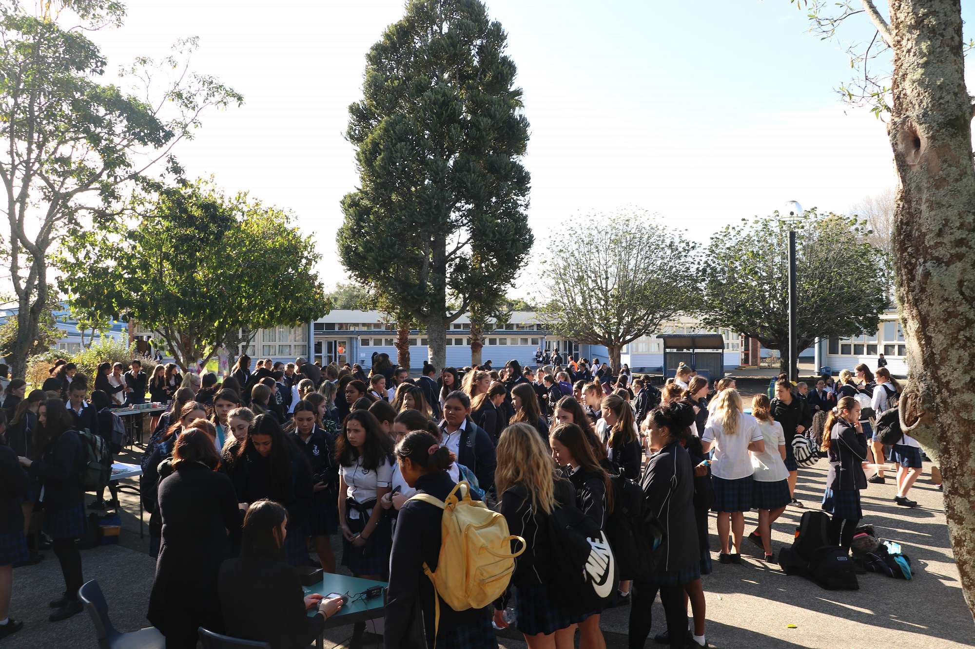 Year 9 Business Market Day
