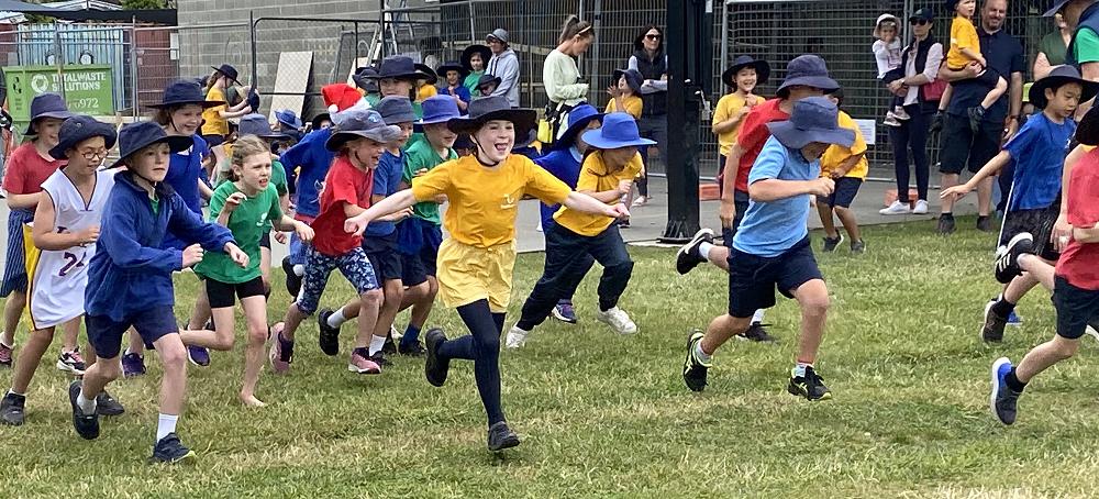 Newsletter Week 9, Term 4