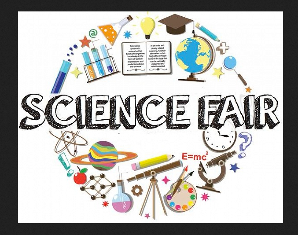 Science Fair — Newsletter - Week 6