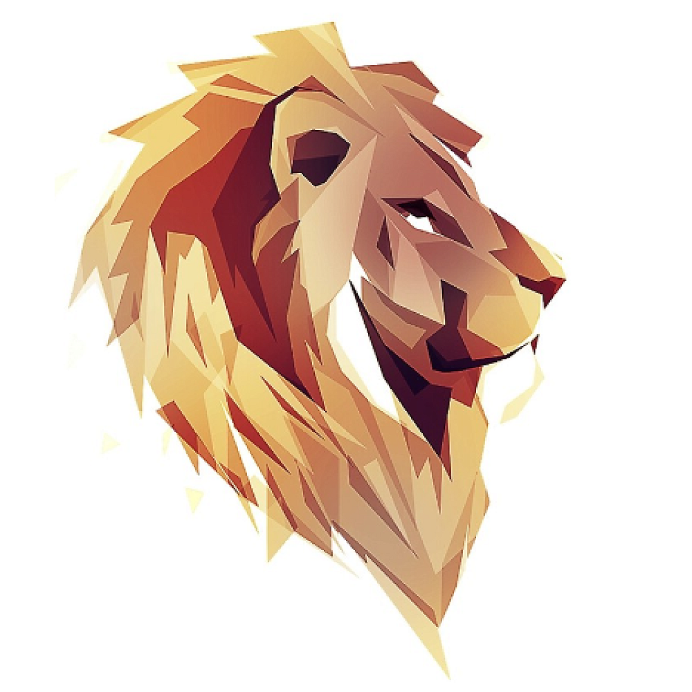 ROAR Programme - 2024!