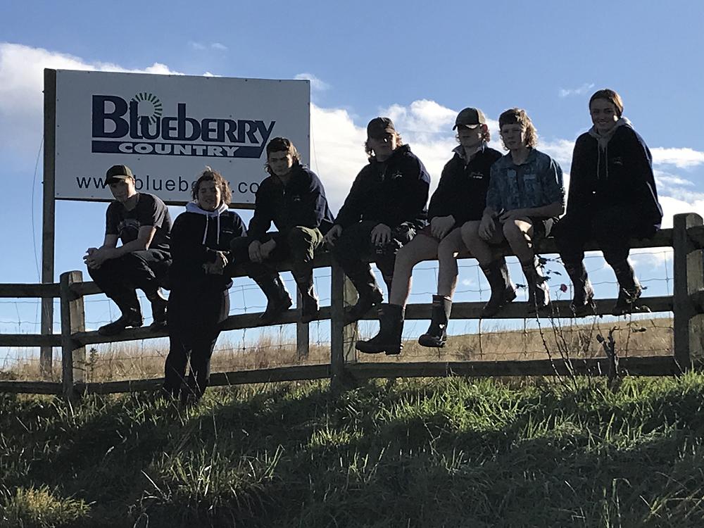 Wairaki Station & Blueberry Country Field Trip