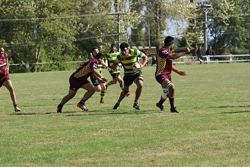 Green Island Rugby Football Club
