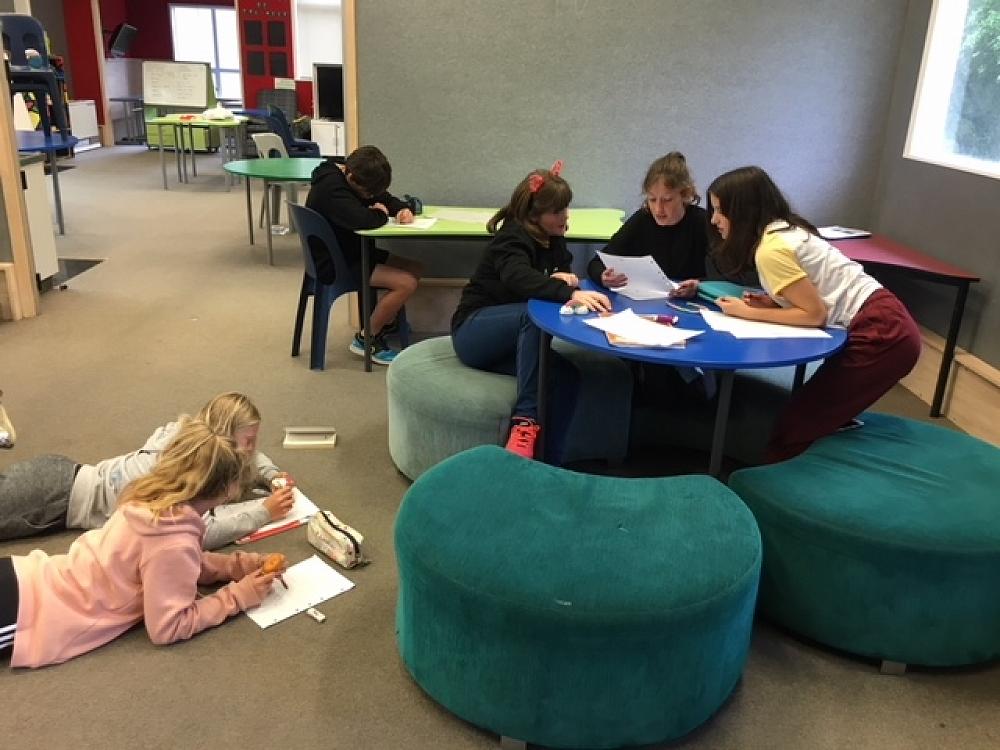 Learning Environments at Raroa