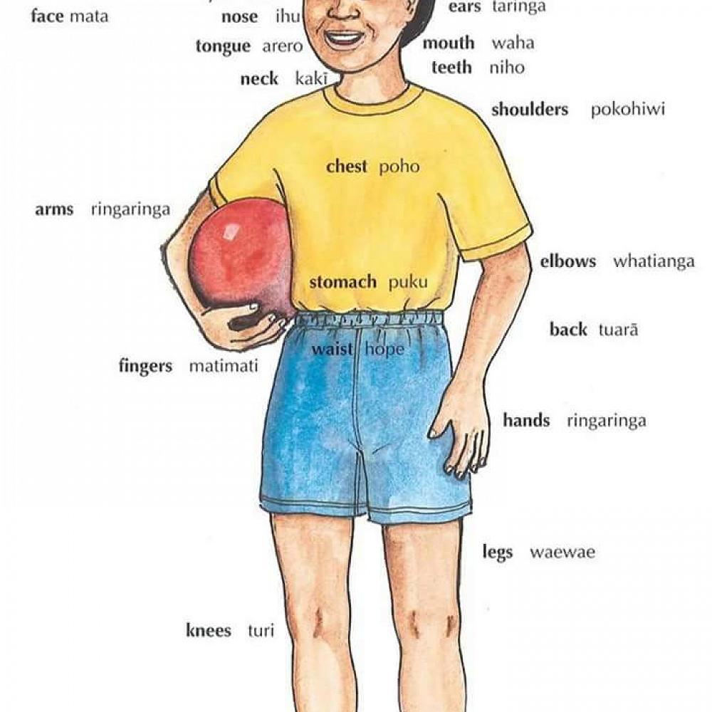 This week we will look at words describing our body parts.