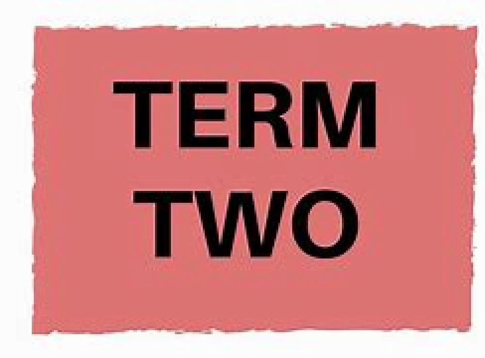 TERM 2