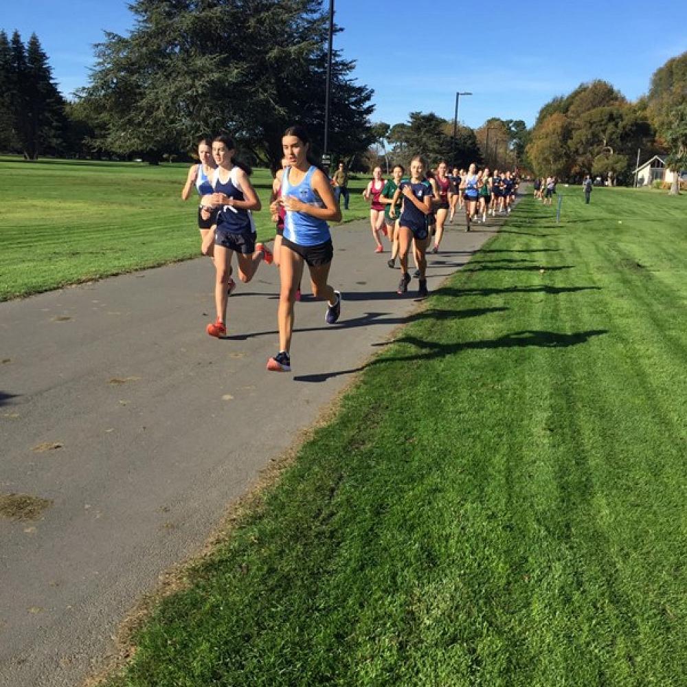 CSS road race success!